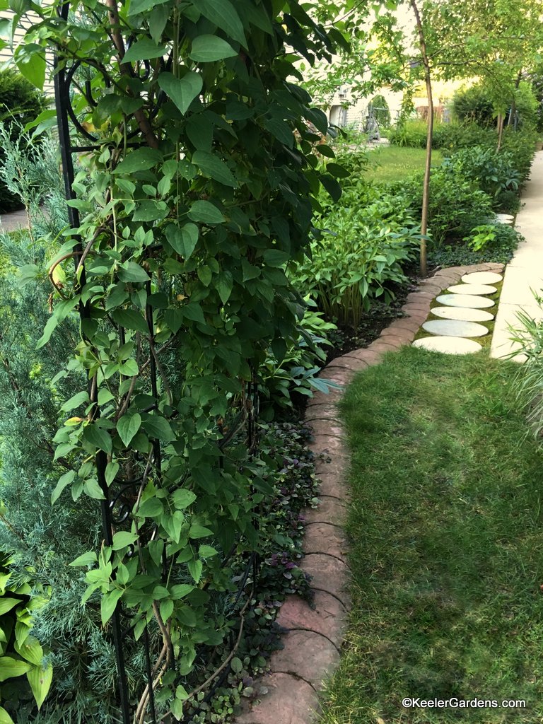 Follow Us – Arbor Path – Keeler Gardens